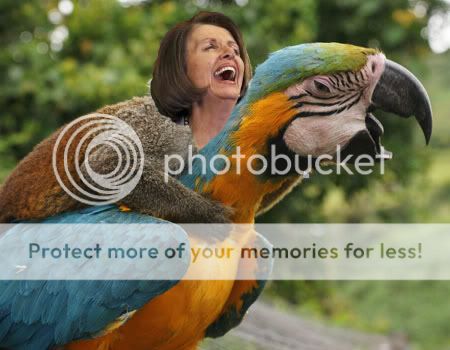 FARK.com: (5704908) The best picture of a squirrel monkey riding ...